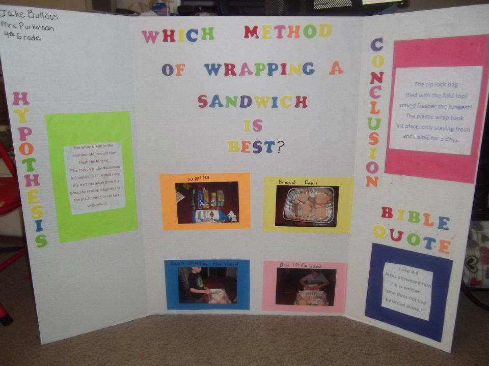 Welcome to the Nut House 2012: March 15 - My Super Smart Science Fair Kids