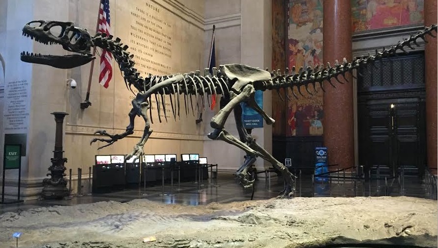 Prehistoric Beast of the Week: Allosaurus: Beast of the Week