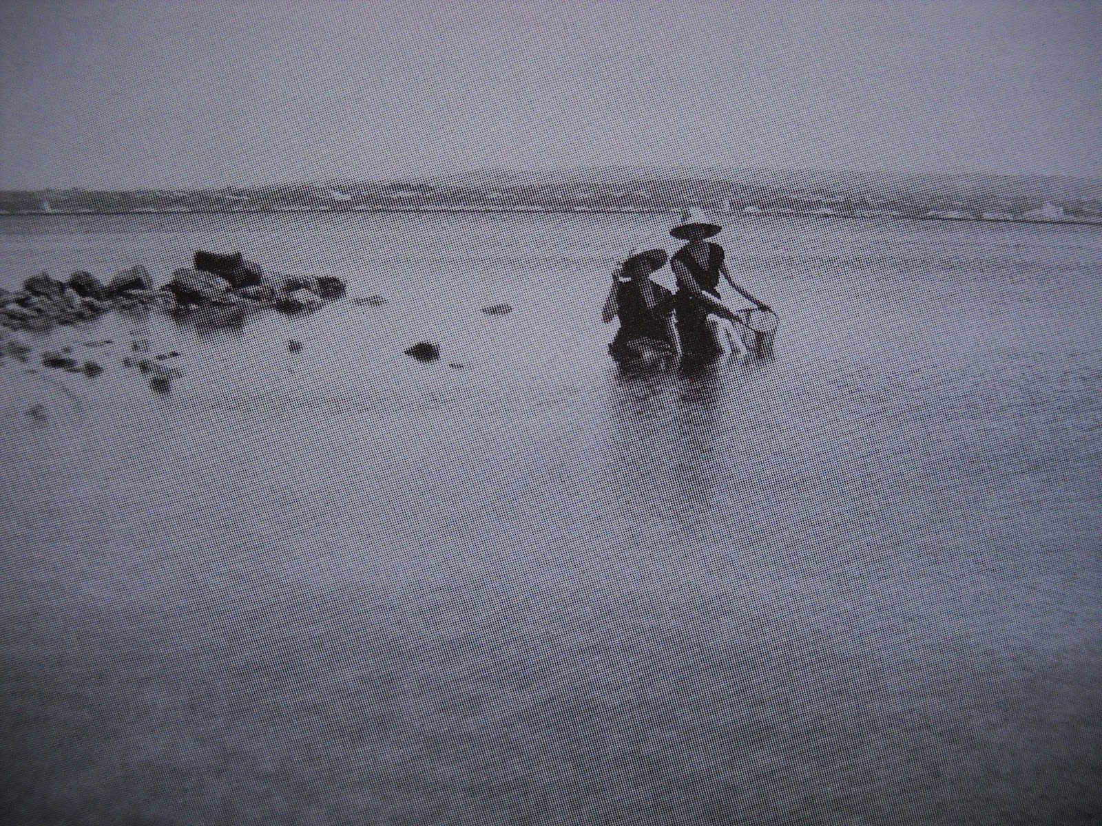 ReportageSicilia: MOZIA, GLI SCATTI DI WHITAKER