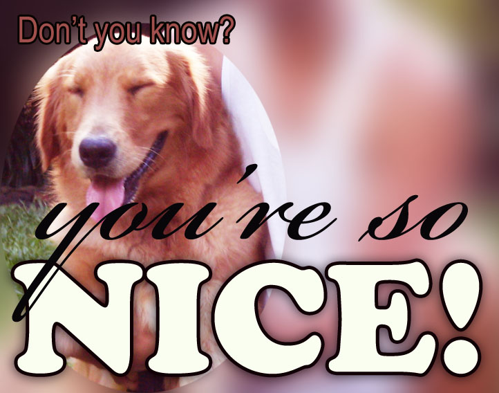 SHOW ME YOUR LOOK TODAY: NICENESS...