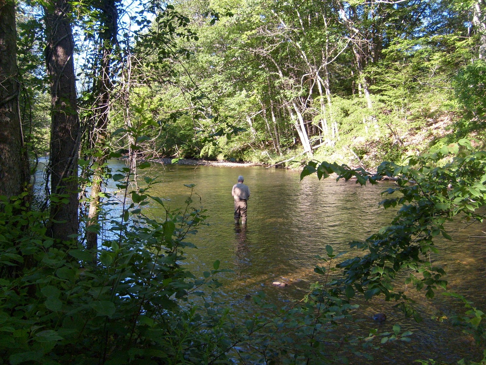 Vermont Fly Fishing: The Battenkill is PRIME!