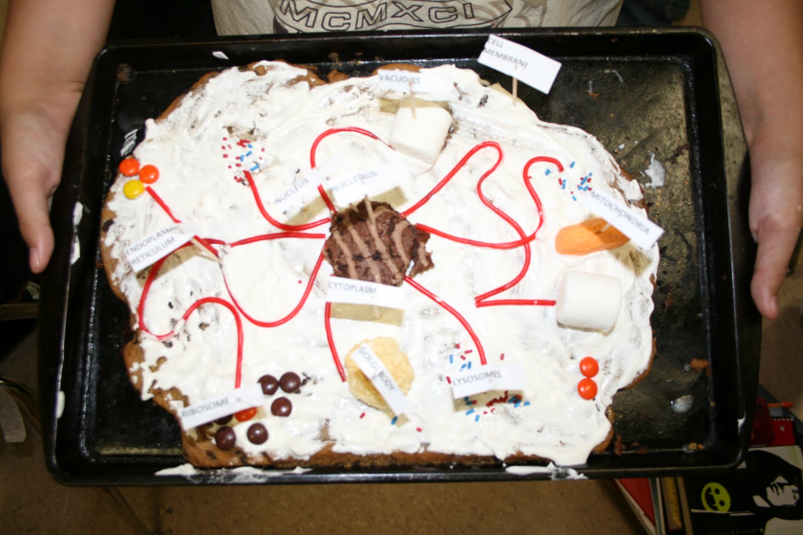 A Look Inside CCMS: THE INCREDIBLE EDIBLE CELL