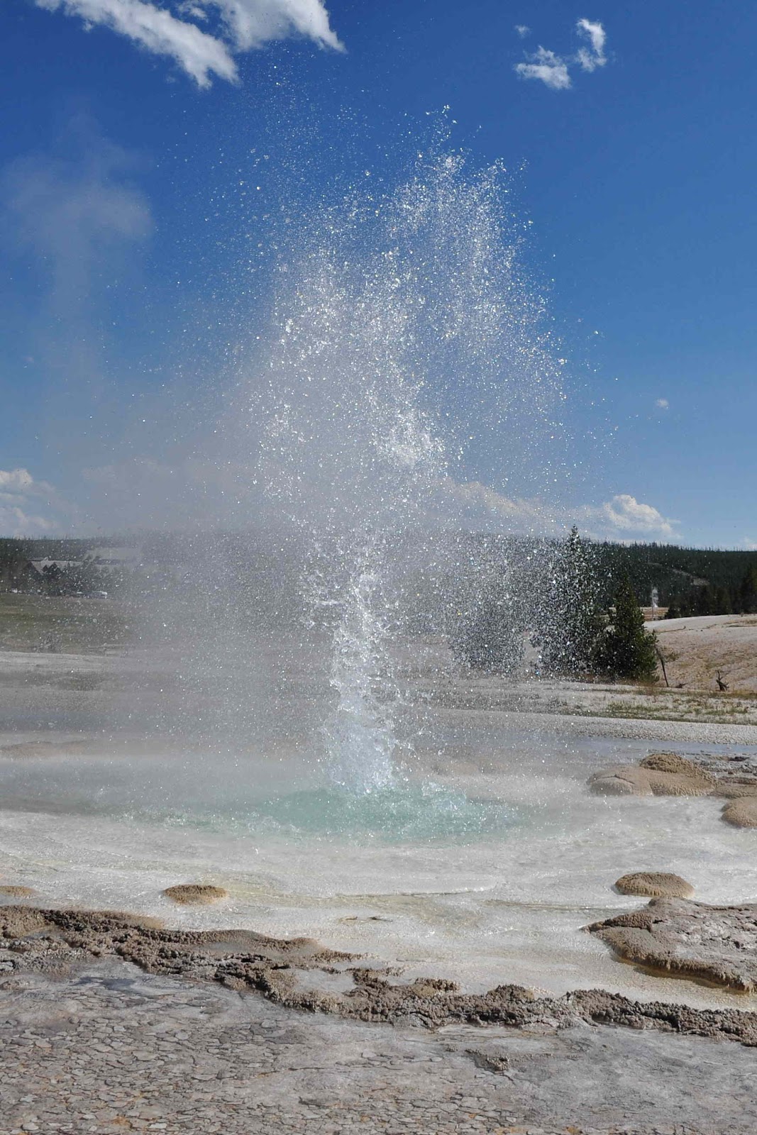 violetas: GEISERES Y GEOTERMIA