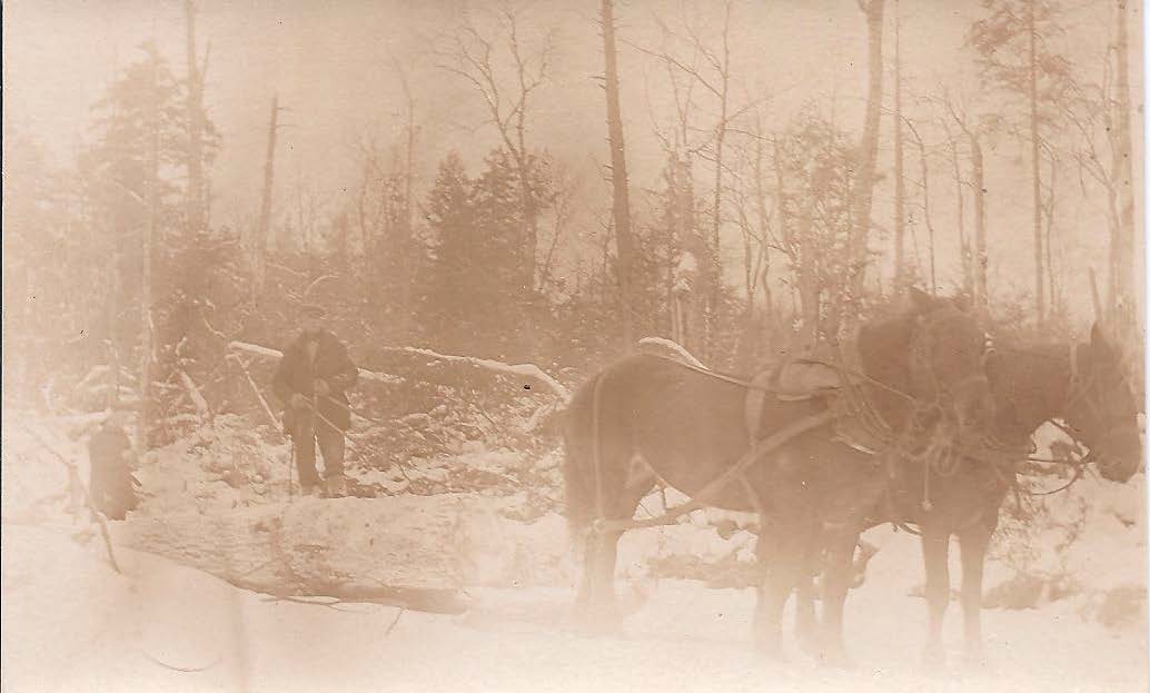 Isabella Conservation District Environmental Education Program: Days ...