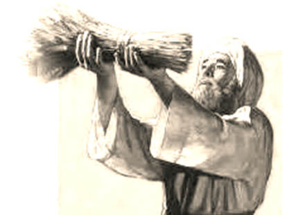 The Cross in the Old Testament ~ What Does Mike Think?