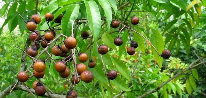 PRUEBALO Y OLVÍDATE DE LAS INFECCIONES CUTÁNEAS | mundo desconocido de ...