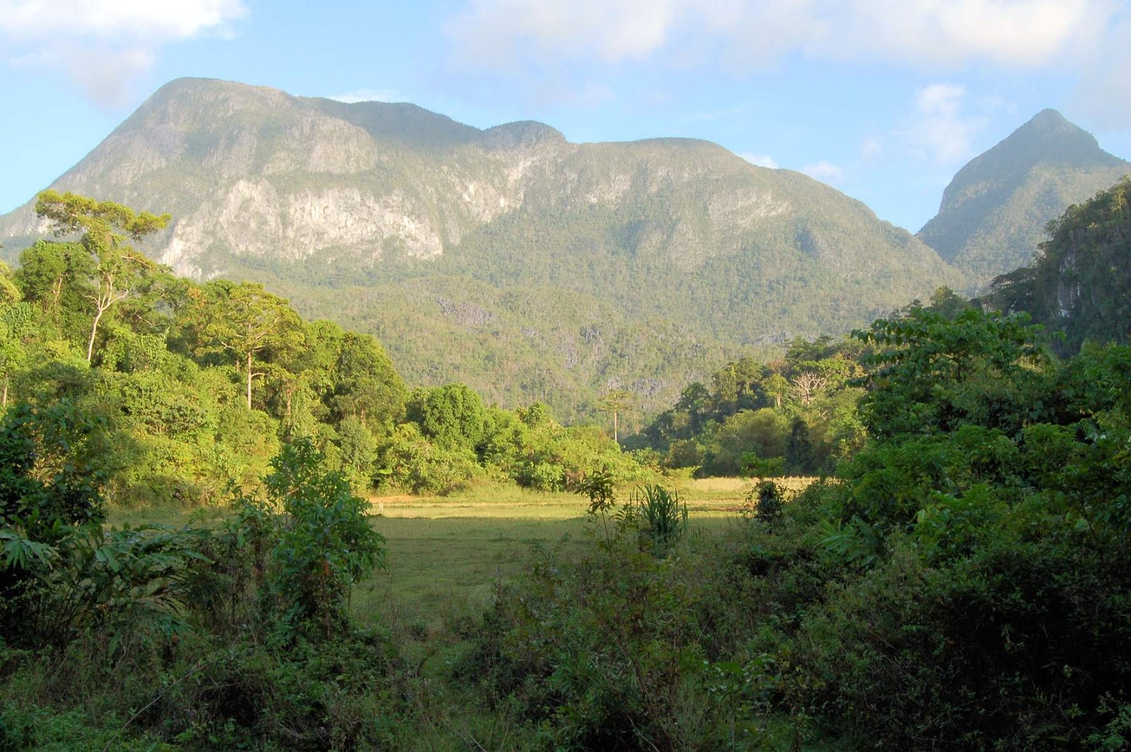 Stuart Marsden's Conservation Research Group: Philippines protected ...