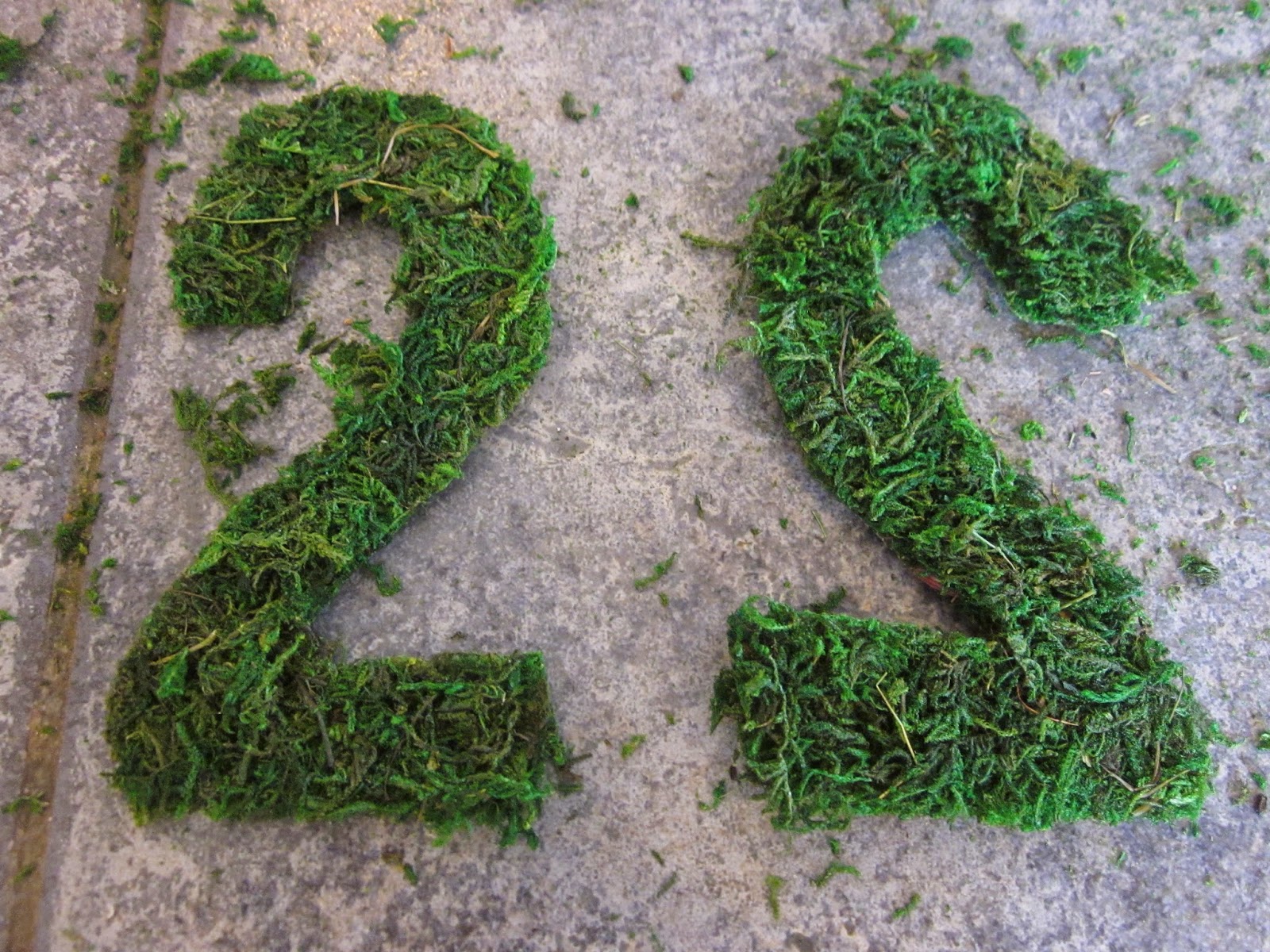 Queen B Creates: Mossy Table Numbers