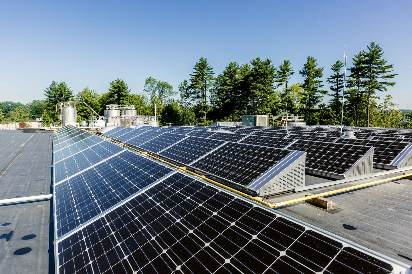 DAILY SCIENCE: SOLAR INSTALLATION