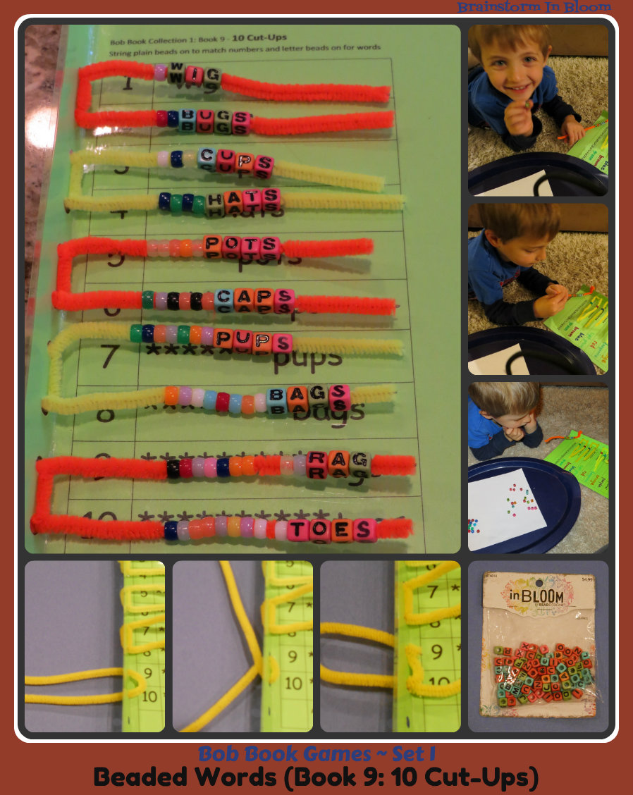 Brainstorm in Bloom: Bob Book Games for Set 1 {Collection 1 Books 1-12}