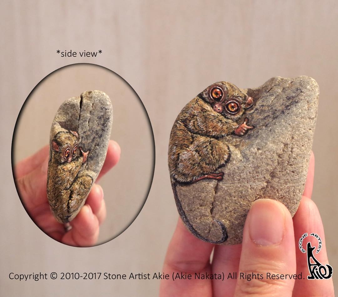 Design Stack: A Blog about Art, Design and Architecture: Natural Shape ...