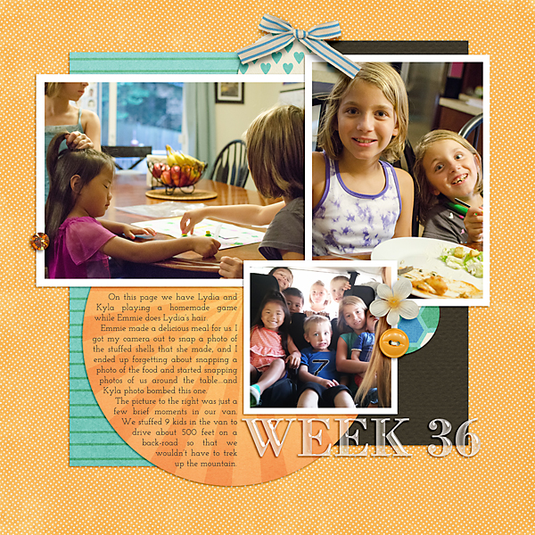 Scrapping with Liz: Daily Life Week 36: So Blessed!