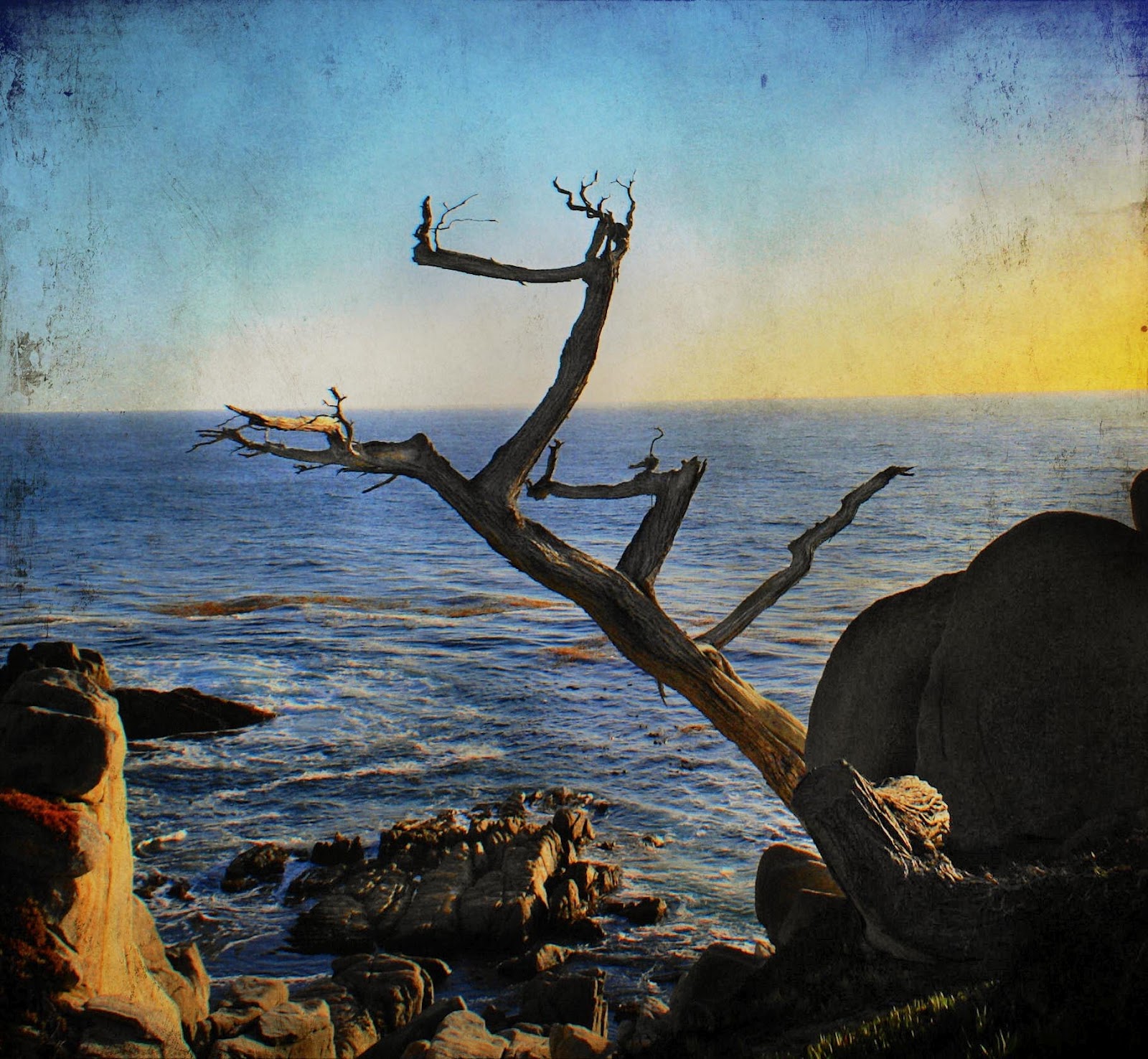 Barbara Rich Photography