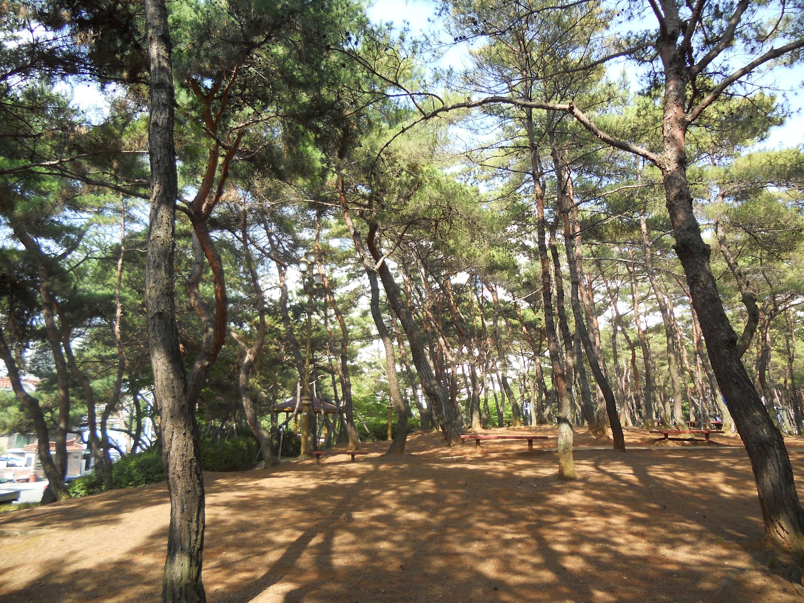 Changwon Living: CHANGWON BY DAY