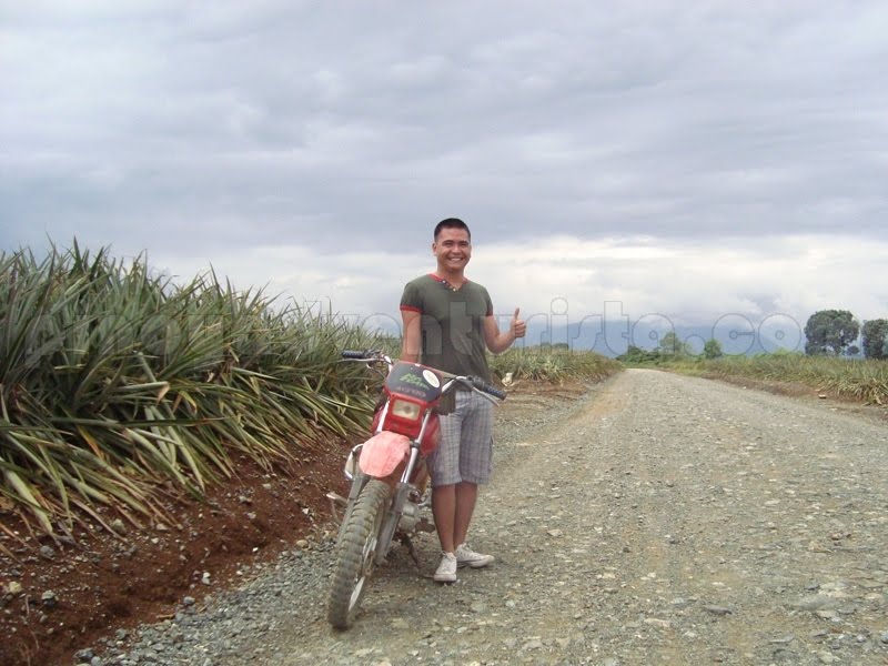 Bukidnon - Stunned by Manolo Fortich's Pineapple Plantations | Blogs ...
