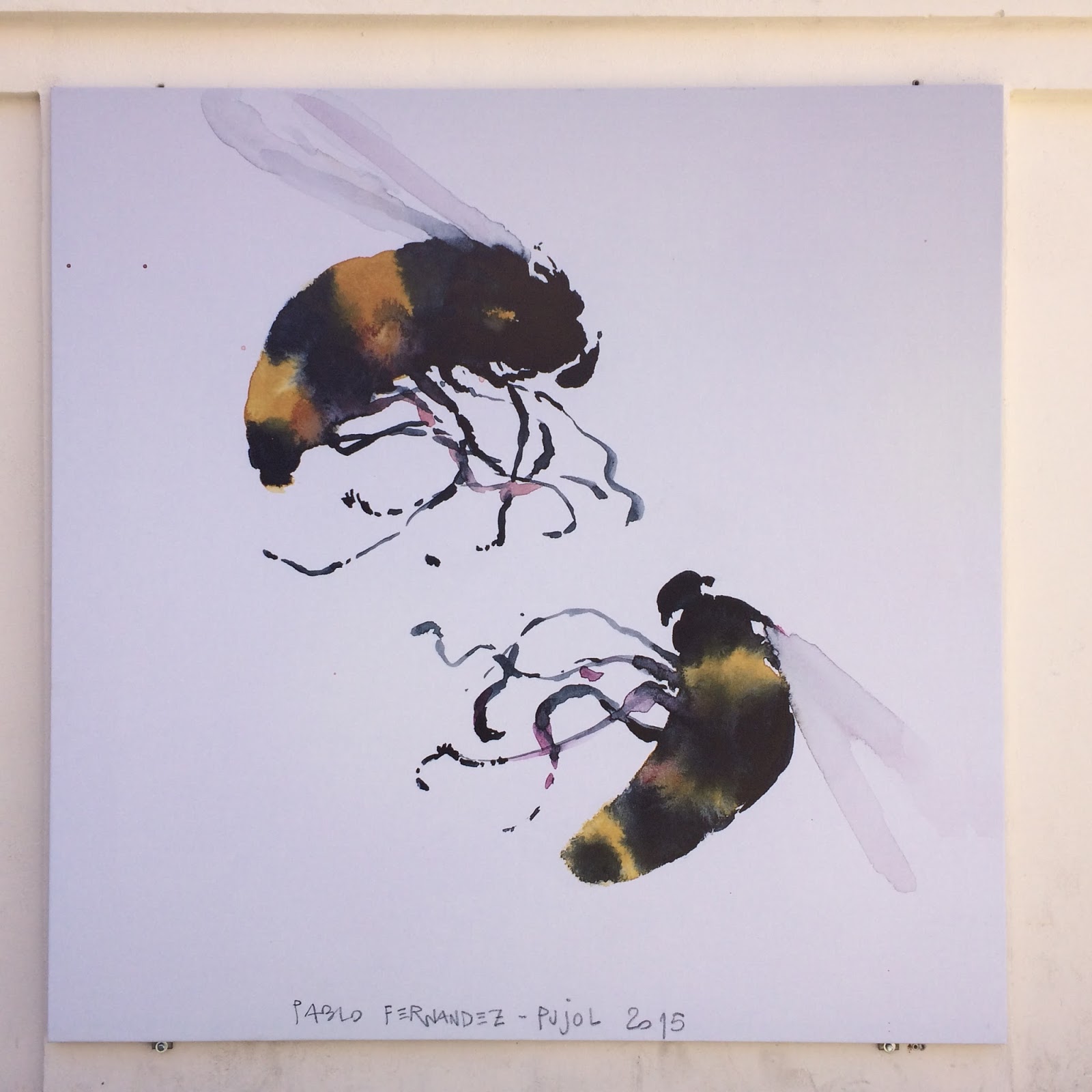 LA CIENCIA DE LA VIDA: Pinturas de insectos de Pablo Fernández-Pujol