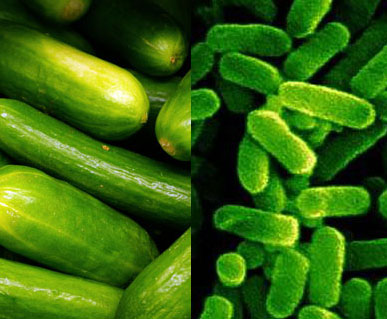 BLOGEAR POR BLOGEAR: E. Coli con cola I