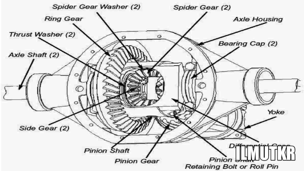 Inilah Beberapa Cara Mengganti Oli Gardan Dengan Benar - IlmuTKR