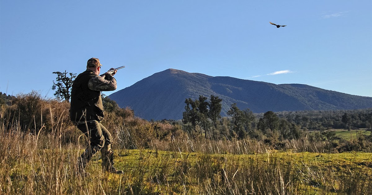 Rare Animals Blog, Protect Rare Animals: Does shooting birds make them ...
