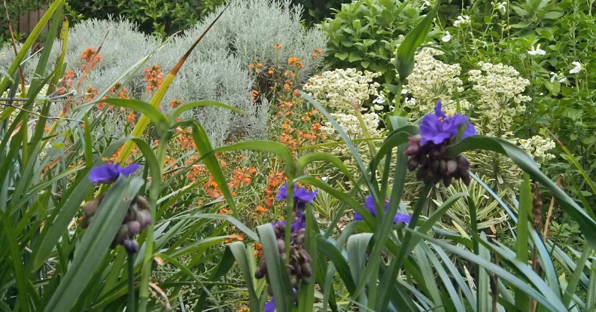 saving lives, and front garden in spring