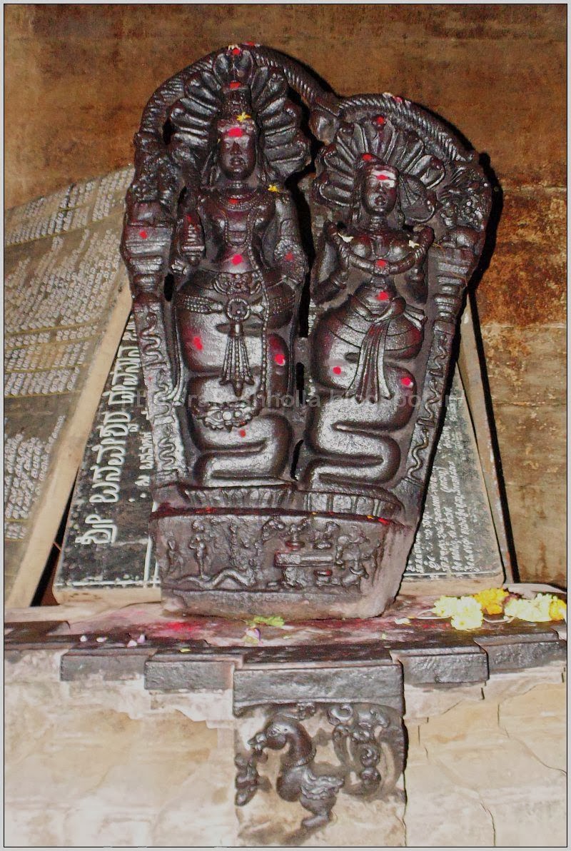 The Voice of Greenery - Trekking and Travelling in Western Ghats: The ...