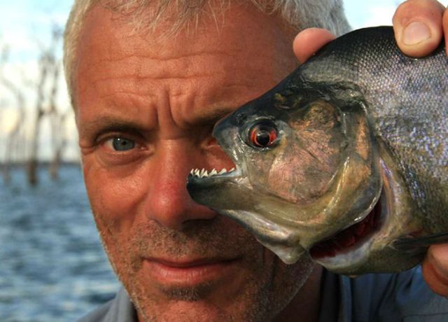 Waiting BD: The Scariest River Monsters Fish in Honor of Halloween (30 ...