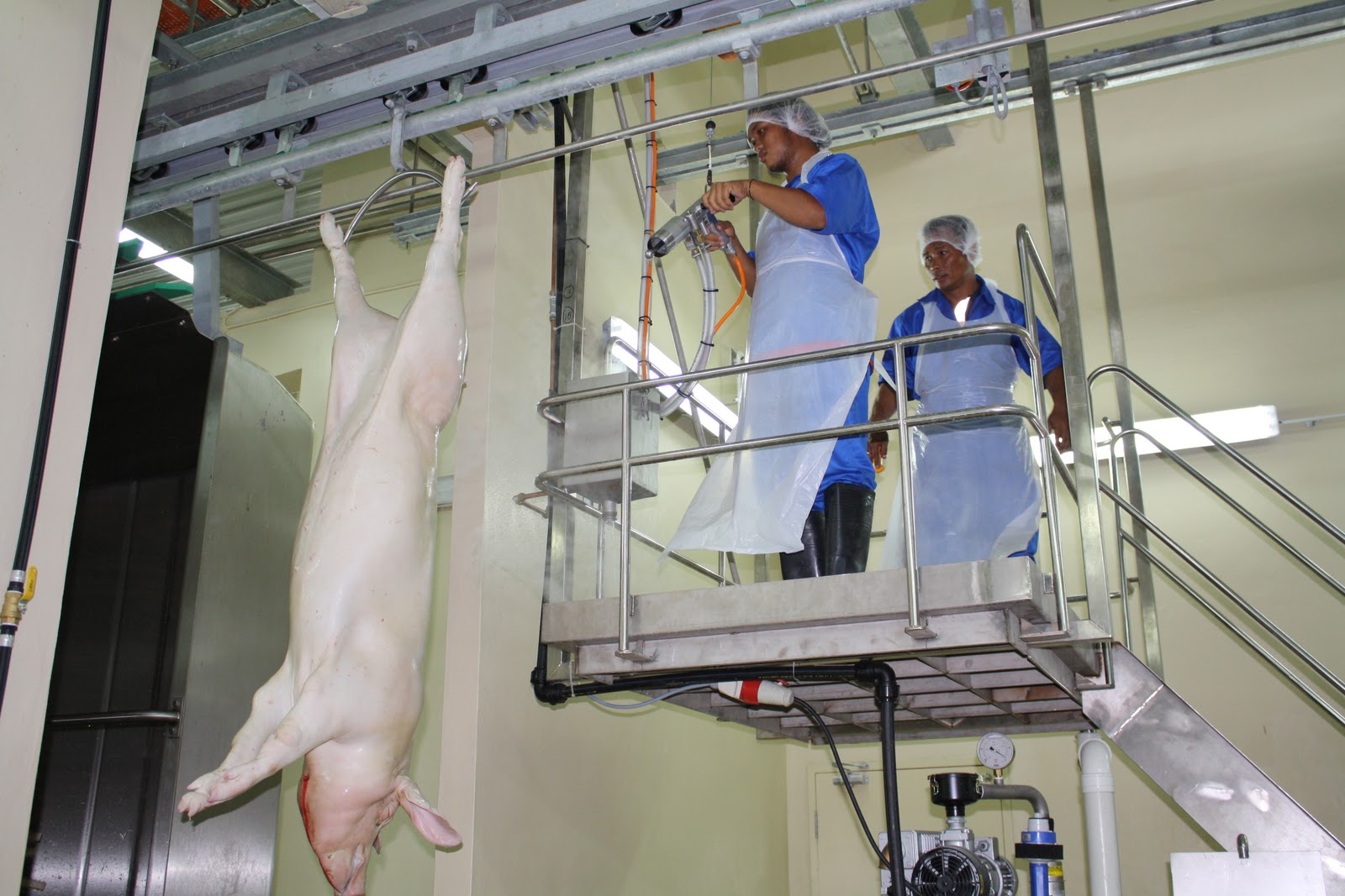 Pig Farming and Related Industry: Most Modern Abattoir in Asia