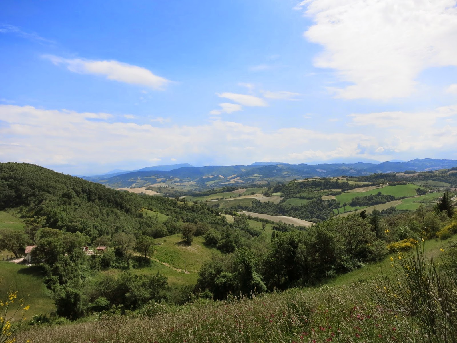 Itineris Mei: Il Monte San Bartolo tra vecchi e nuovi tracciati