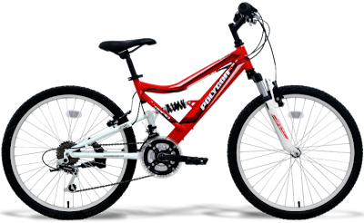 POLYGON CYCLE: SEPEDA POLYGON MTB RAPID 24