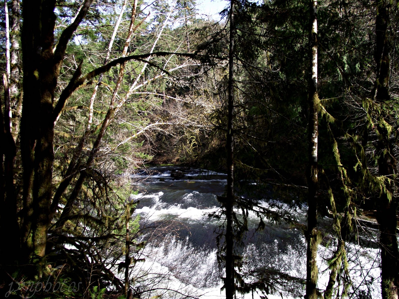 Photos by Jan: Triangle Lake, Oregon and Further Adventures