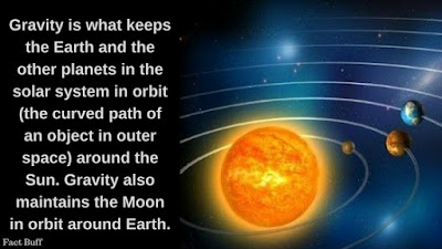 Fact Buff: Fact of the Day: 25