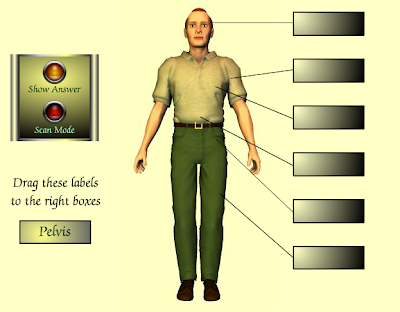 NATURAL SCIENCE 1st and 2nd GRADES: MOVE YOUR BODY: BONES AND MUSCLES ...