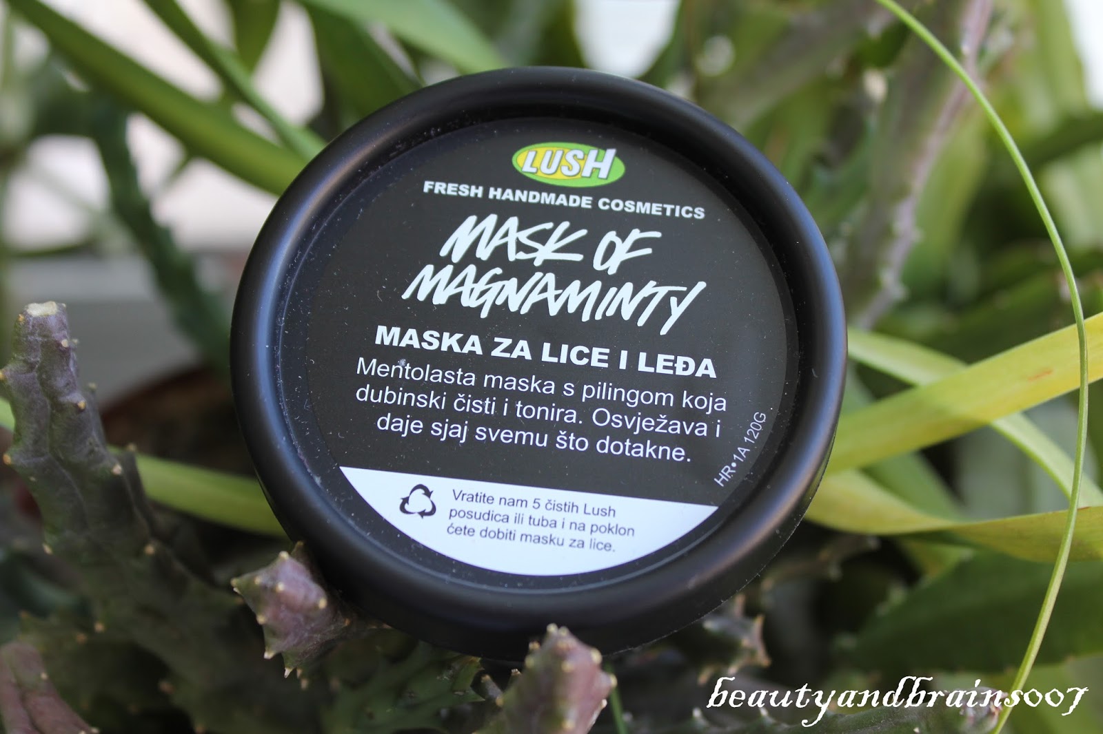 beautyandbrains007HR: LUSH Mask Of Magnaminty maska za lice i tijelo