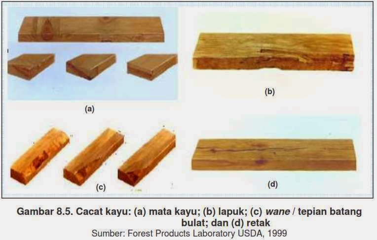 PENEBANGAN, PENGGERGAJIAN DAN PENGAWETAN PADA MATERIAL KAYU | SANGGAR ...