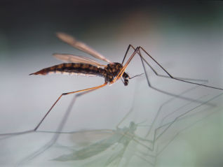Vida de Mulher aos 40: Agosto 2013