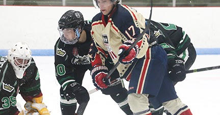 Image News Service - SPORTS NEWS: A Good Weekend for Springfield Pics ...