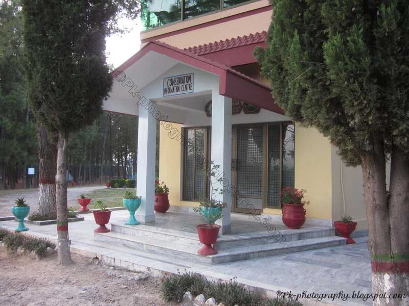 Hazara University Mansehra | Nature, Cultural, and Travel Photography Blog