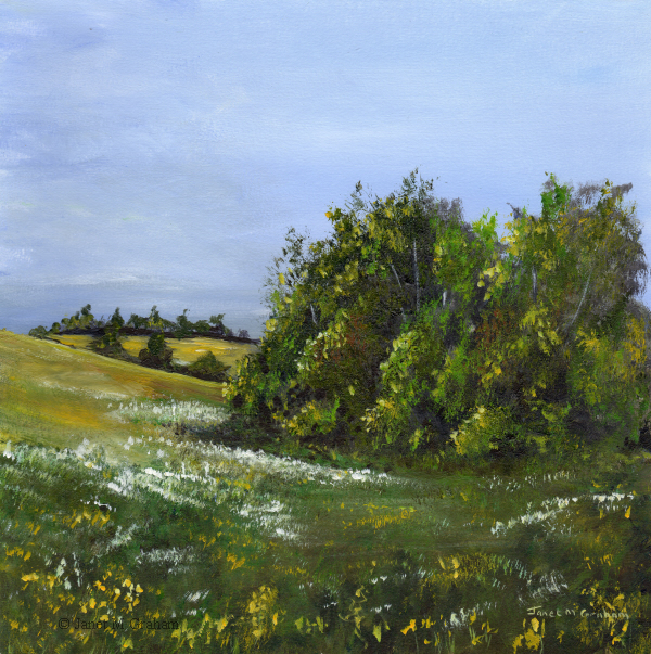 Janet M Graham's Painting Blog: Spring Meadow in acrylics