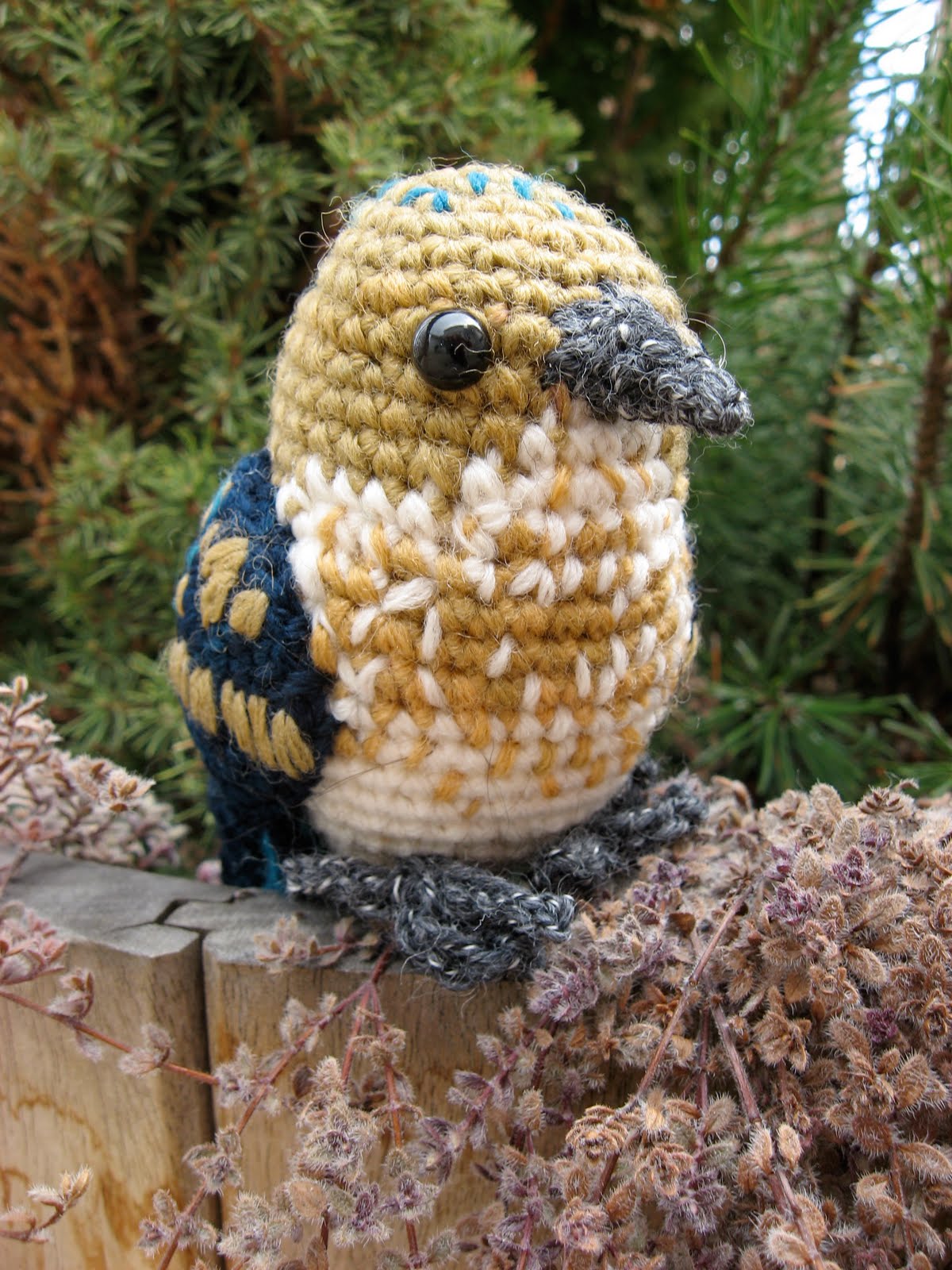 Crocheting Conversations: Look at the birdie.....