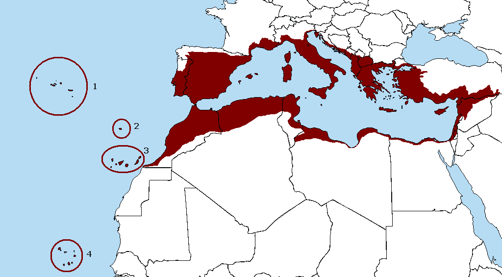 La Mancha Media: Geographical, Historical, Charitable Films ...