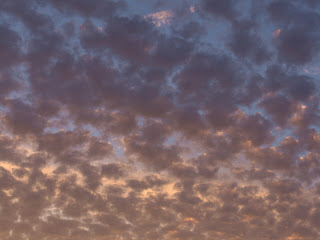 Fx Blog: Altocumulus clouds