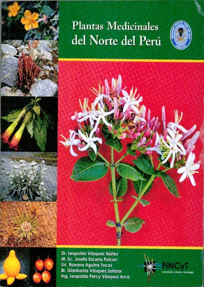 Yerba Silvestre: MOSAICO CULTURAL PRESENTÓ EN LA DRC : PLANTAS ...