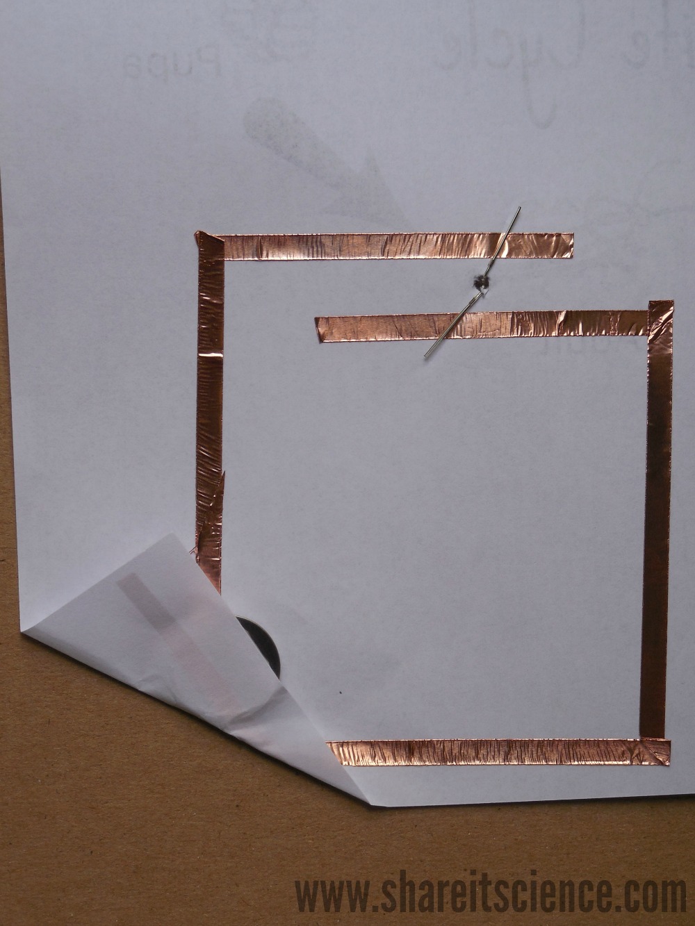 Share it! Science : Communicate Like a Firefly: Light-up STEM Project