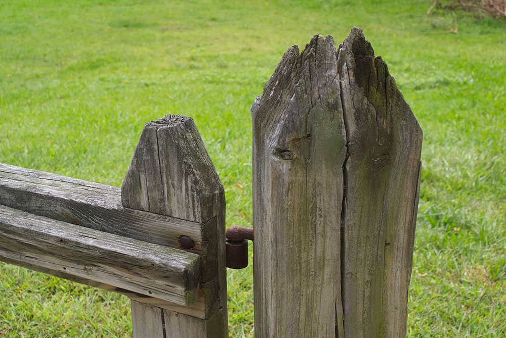 A Picture Each Day: The Old Gate
