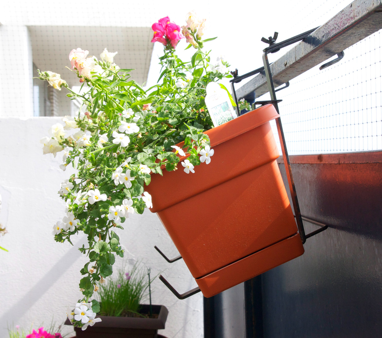 Toronto Balcony Gardening: How to Get Your Balcony Railing Containers ...