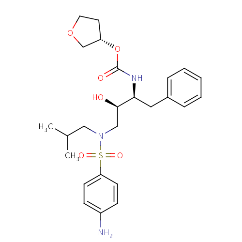 Pharmacology Of Amprenavir