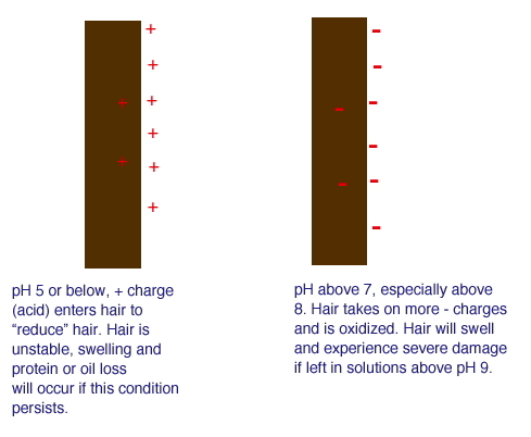 Science-y Hair Blog: pH and Your Hair. A little redox to make you happy.
