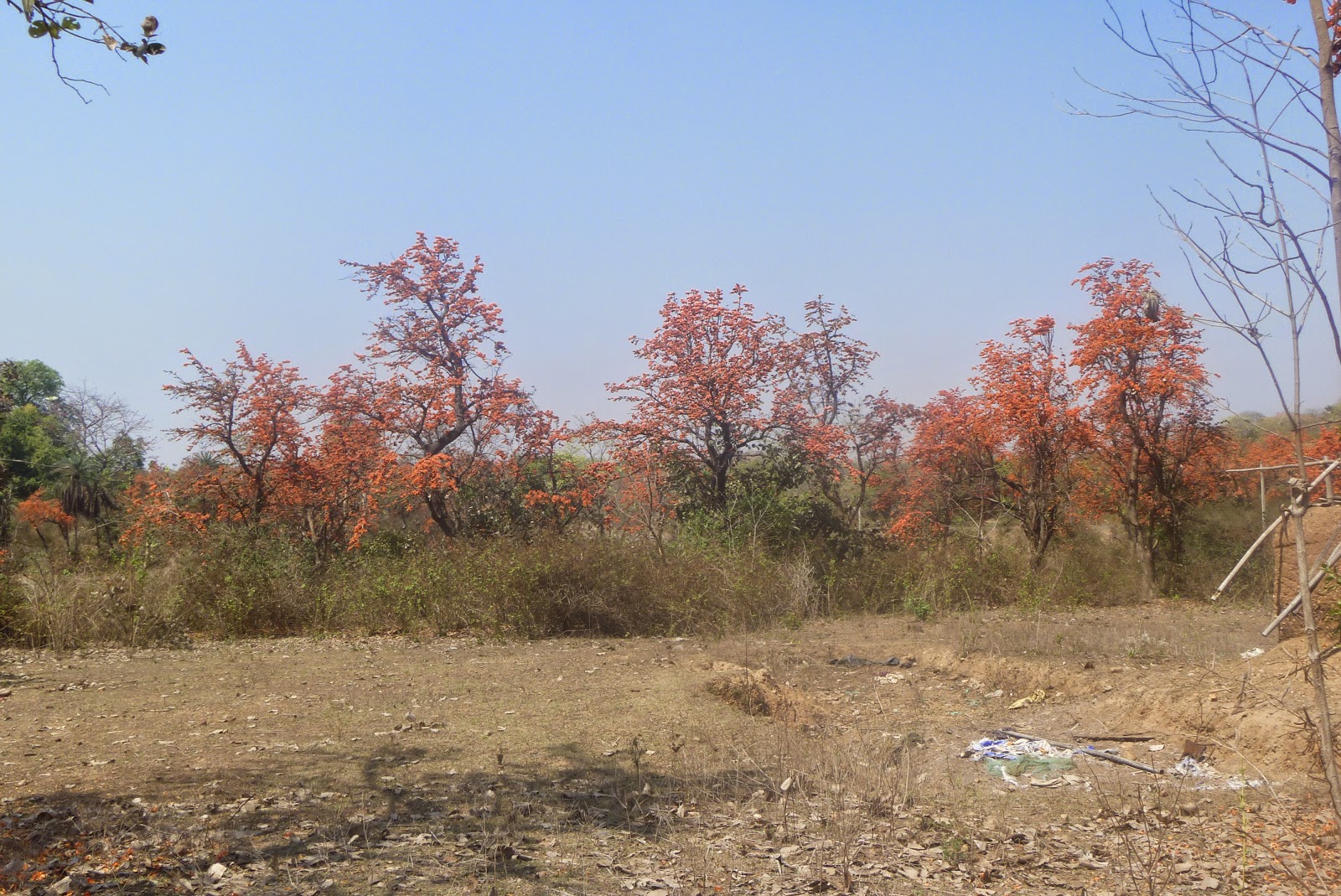 Life is amazing - enjoy it: Short trip to Jewel in the crown of Bankura ...