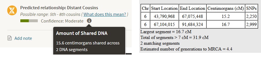 Bunter Family Blog: Ancestry DNA matches - What to do next?