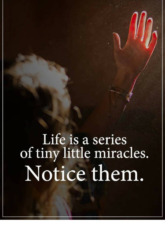 Life Quotes Life is a Series of tiny little miracles. Notice them ...